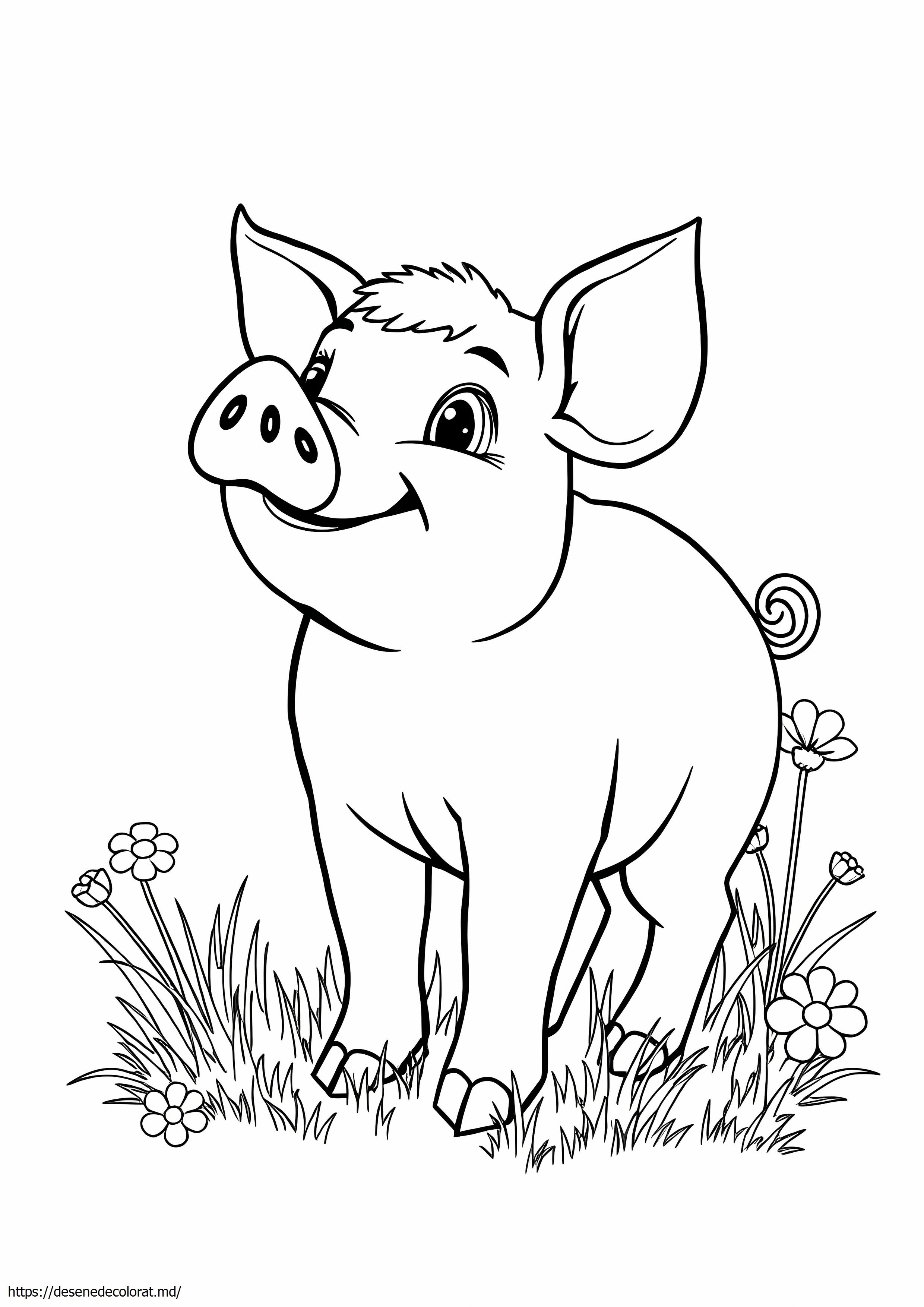 Porc realist desen de colorat