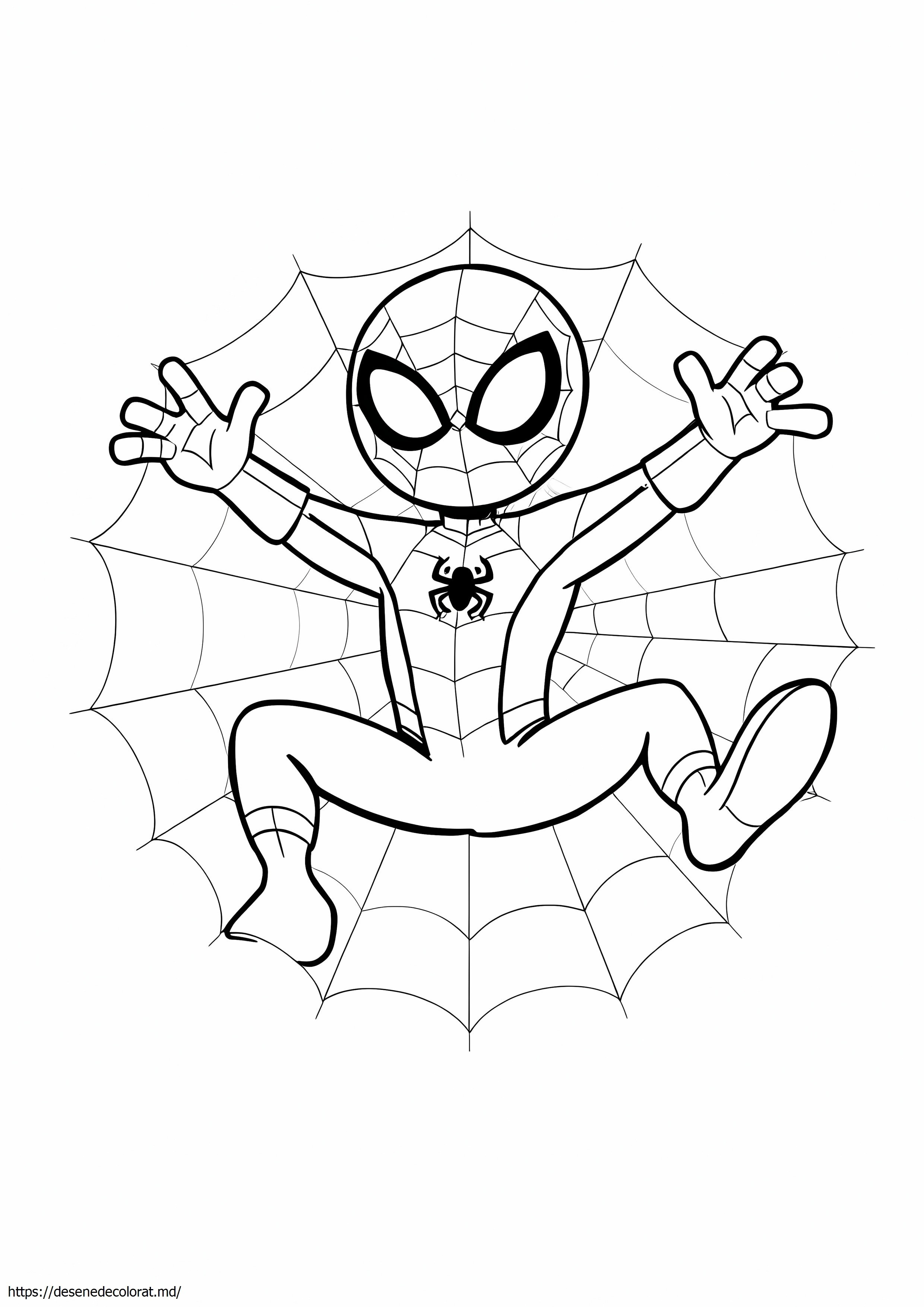 Spin spiderman desen de colorat