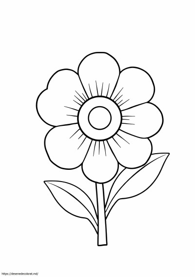 Florale de colorat - Desene, fise si imagini de Florale de colorat
