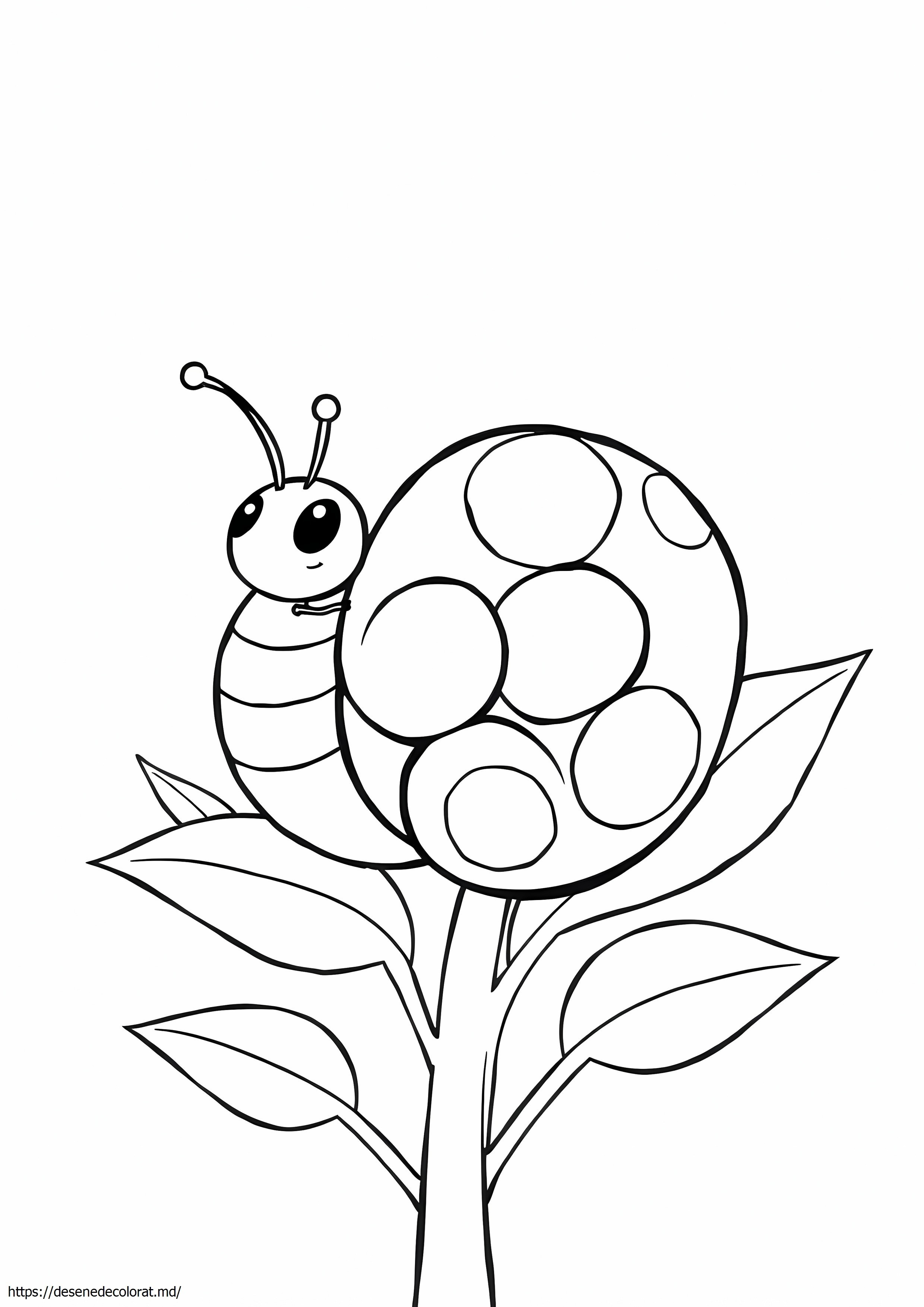 Roly poly desen de colorat