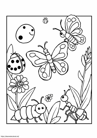 Insecte de colorat - Desene, fise si imagini de Insecte de colorat