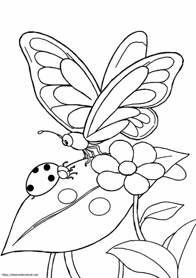 Insecte de colorat - Desene, fise si imagini de Insecte de colorat