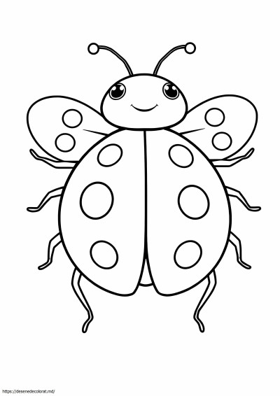 Insecte de colorat - Desene, fise si imagini de Insecte de colorat