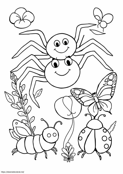 Insecte de colorat - Desene, fise si imagini de Insecte de colorat