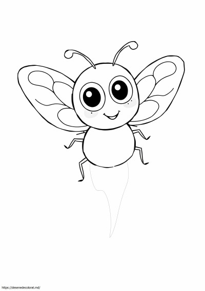 Insecte de colorat - Desene, fise si imagini de Insecte de colorat