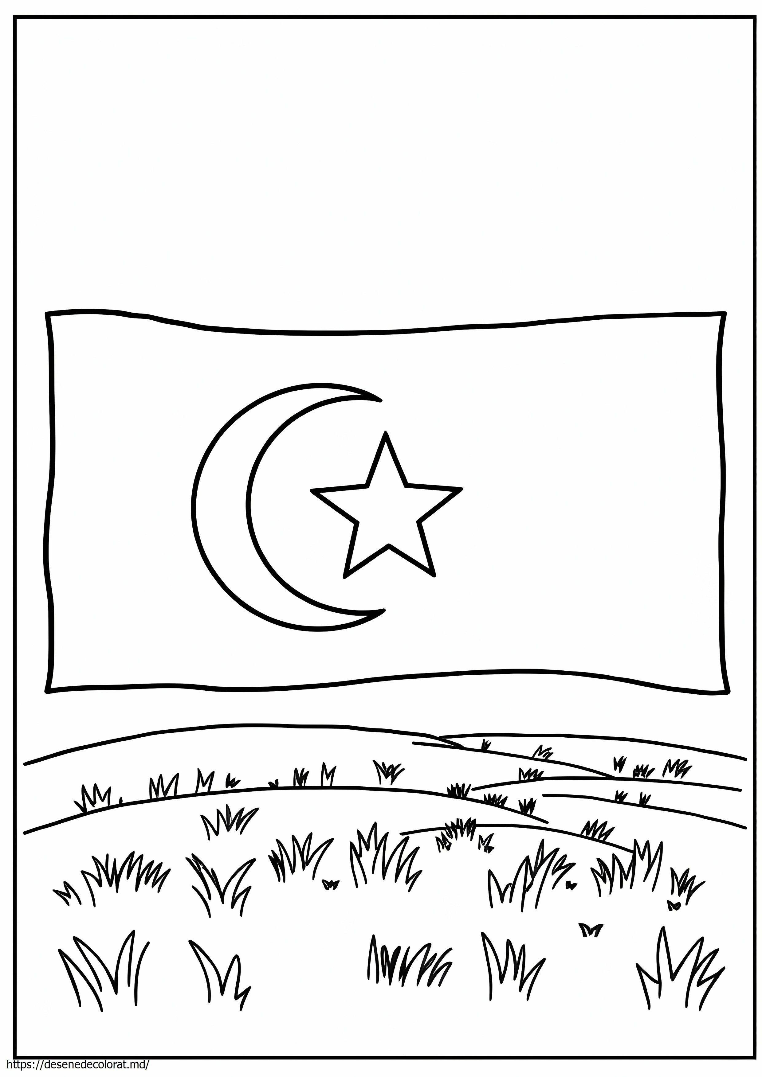Steag turcesc desen de colorat