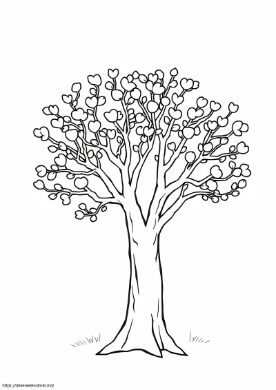 Planta de colorat - Desene, fise si imagini de Planta de colorat