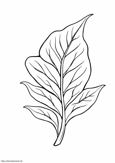 Planta de colorat - Desene, fise si imagini de Planta de colorat