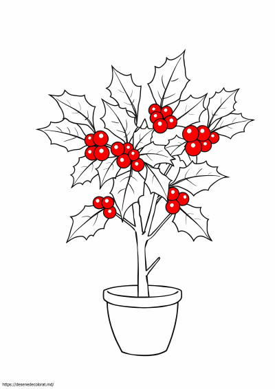 Planta de colorat - Desene, fise si imagini de Planta de colorat