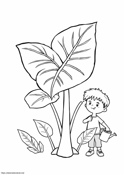 Planta de colorat - Desene, fise si imagini de Planta de colorat