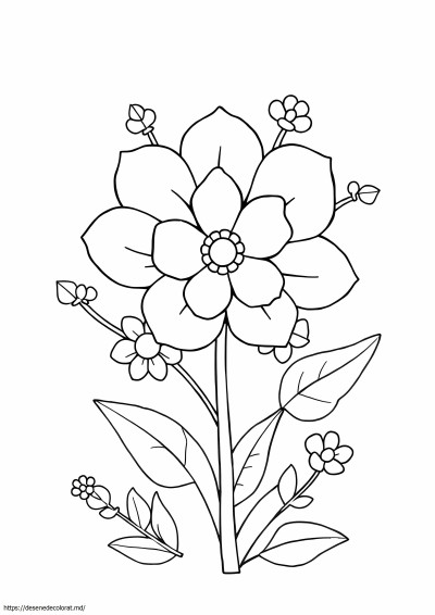 Flori de toamna desen de colorat