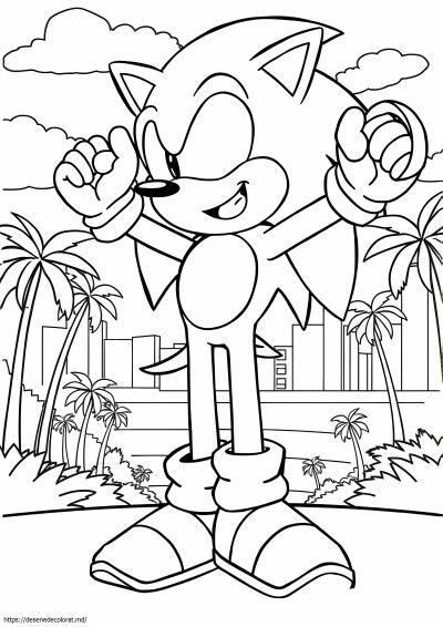 Sonic de colorat - Desene, fise si imagini de Sonic de colorat