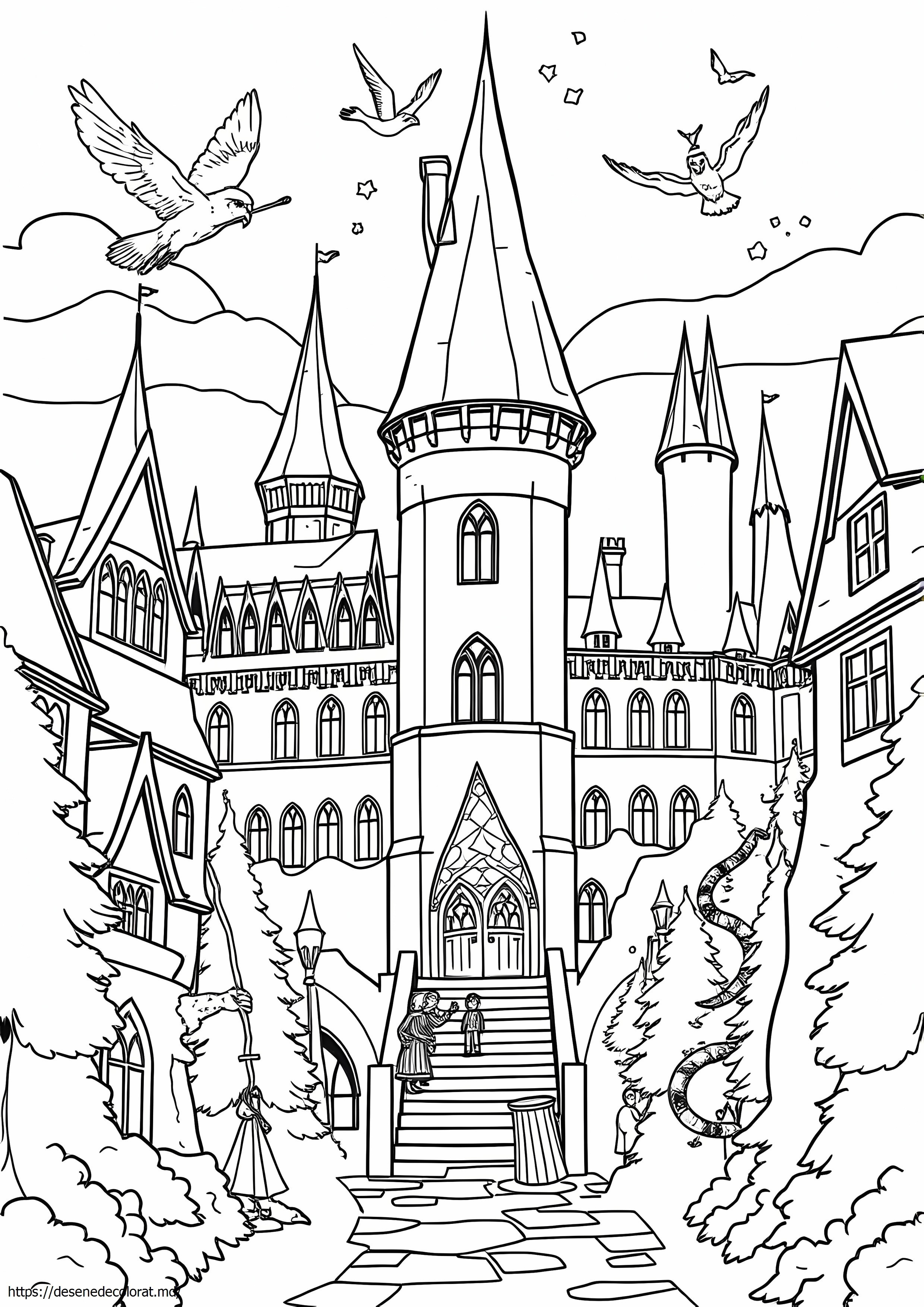 Harry potter hogwarts desen de colorat