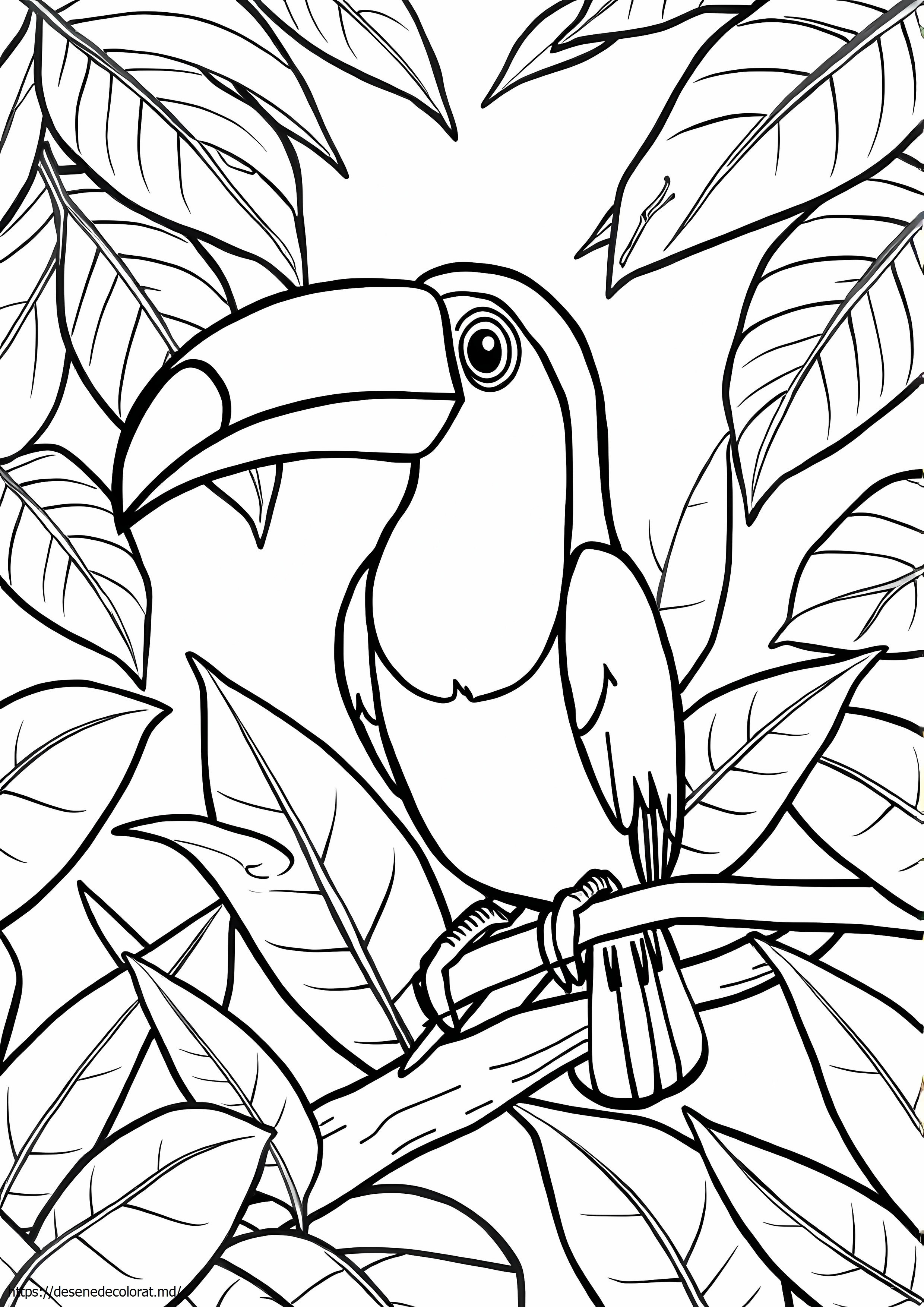 Tucan desen de colorat