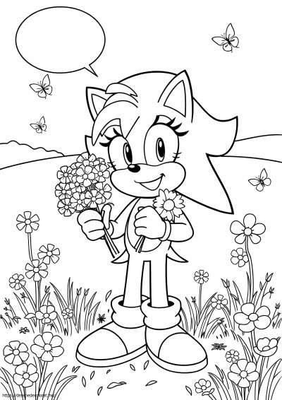 Amy de la Sonic the Hedgehog desen de colorat