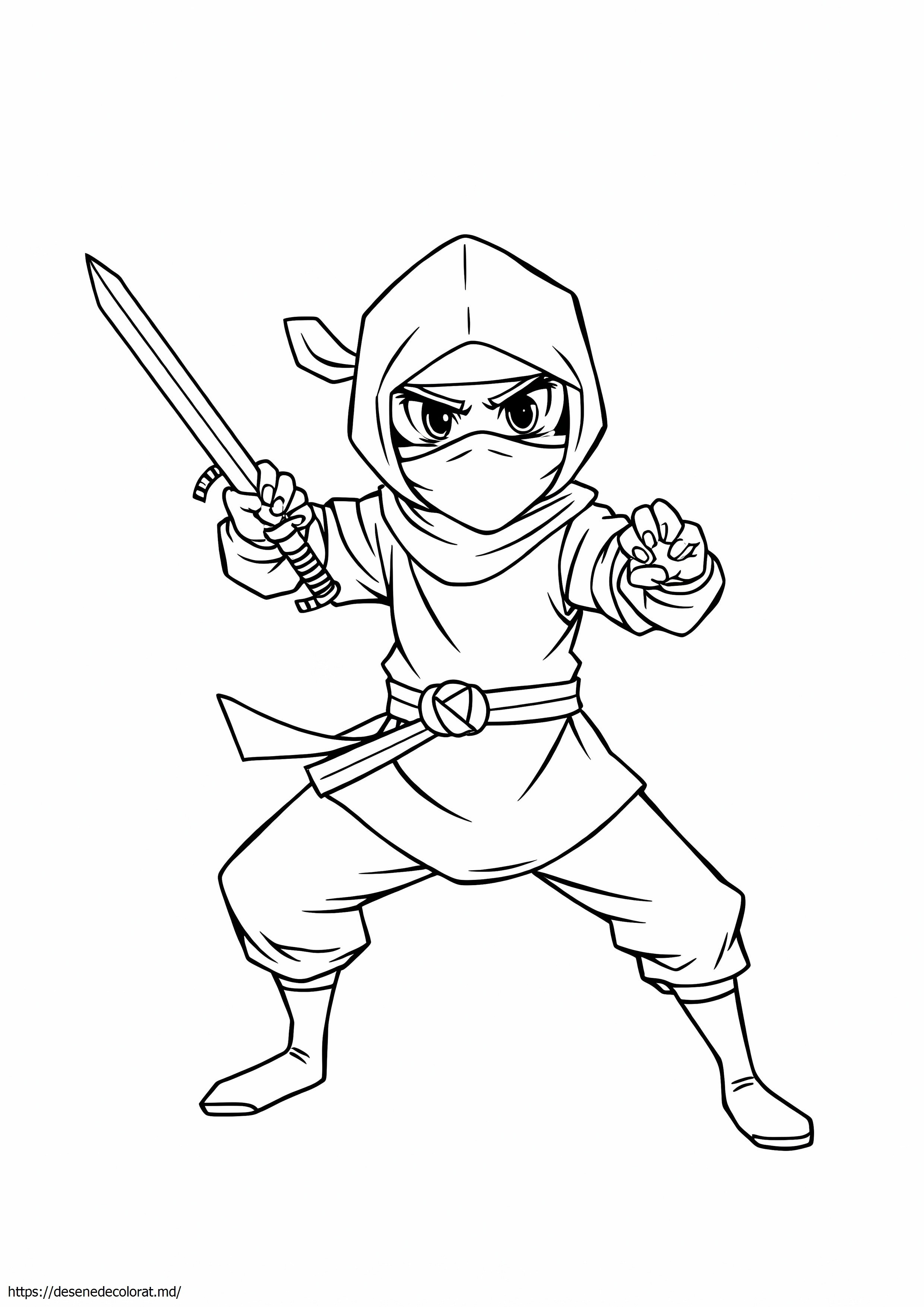 Ninja din desene animate desen de colorat